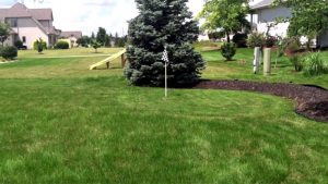 How To Build A Par 3 In Your Backyard? - Metro League