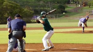 What Does Split Squad Mean In Baseball? - Metro League