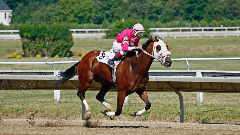 How Much Does A 3 Horse Trifecta Box Cost? - Metro League