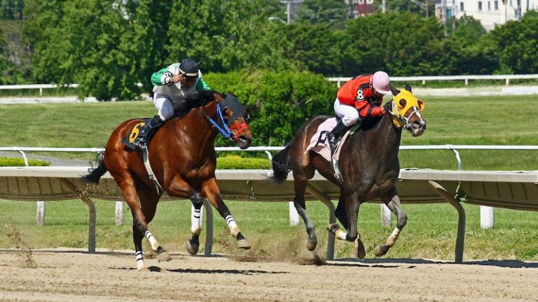 How Much Is A 4 Horse Exacta Box? - Metro League