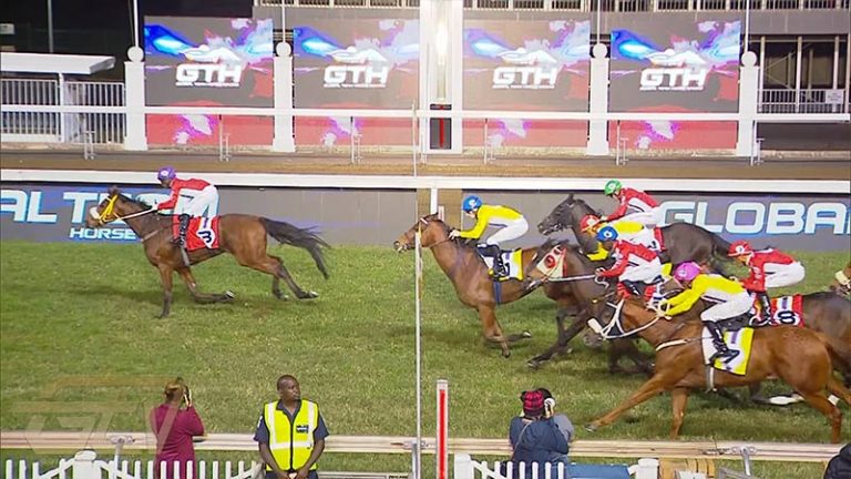 How Much Is A 7 Horse Trifecta Box? - Metro League