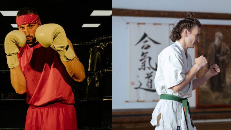 Is Boxing Better Than Karate ? - Metro League