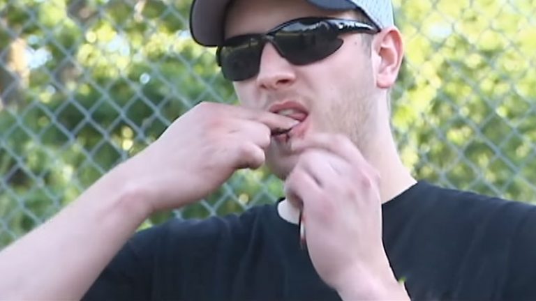 Baseball Players Who Chew Tobacco - Metro League