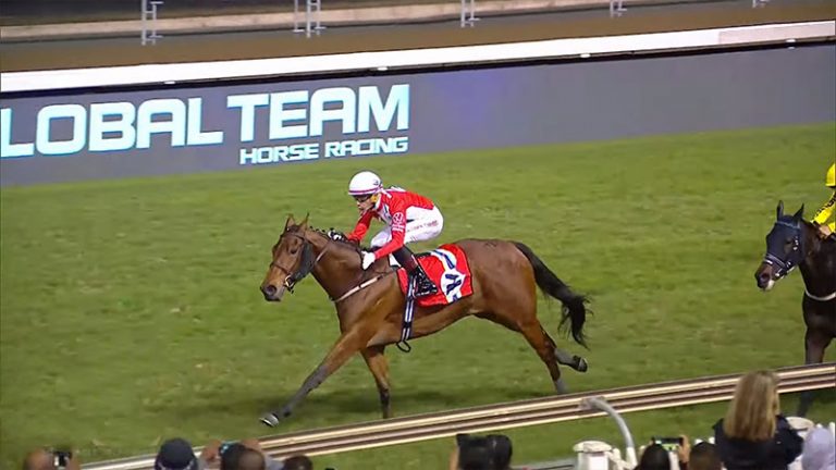 What Is A Trifecta In Horse Racing? - Metro League