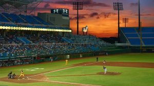 What Is A Warning Track In Baseball? - Metro League