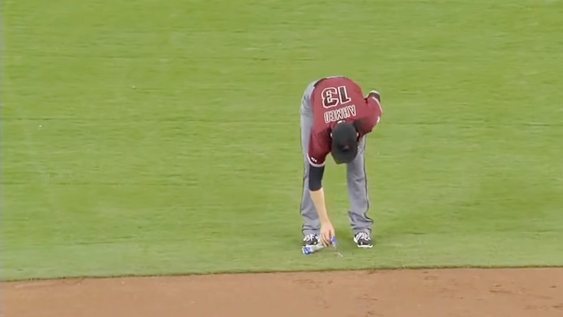 Why Do Baseball Players Eat Sunflower Seeds? - Metro League