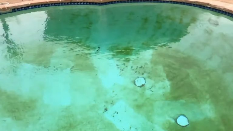 Decode the Culprits: What Causes Brown Stains in Swimming Pool? - Metro ...