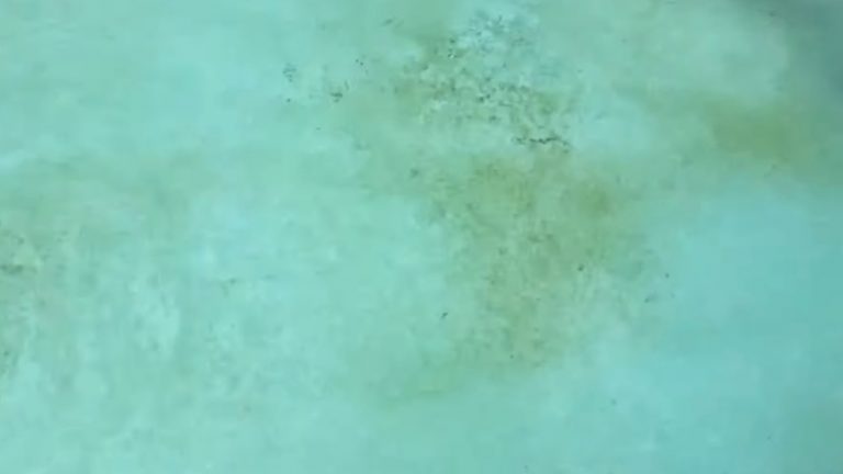 Mystery Resolved: What Causes Yellow Stains in Swimming Pools? - Metro ...