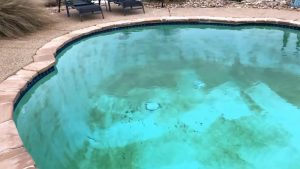 Mystery Resolved: What Causes Yellow Stains in Swimming Pools? - Metro ...