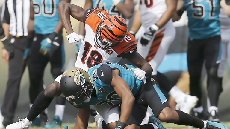 What Is The Biggest Nfl Fight In History? - Metro League