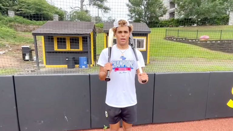 Why Do Baseball Players Carry 2 Bats? - Metro League