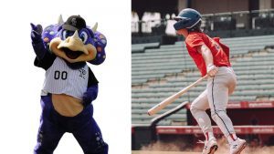 What is a Dinger in Baseball? - Metro League