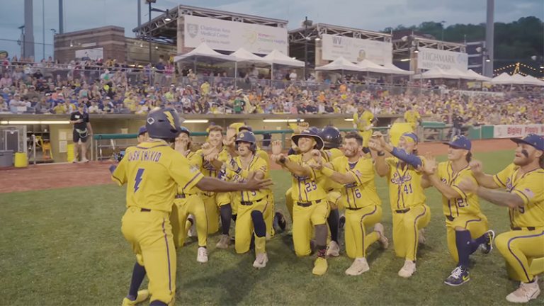 Banana Baseball Rules - Metro League
