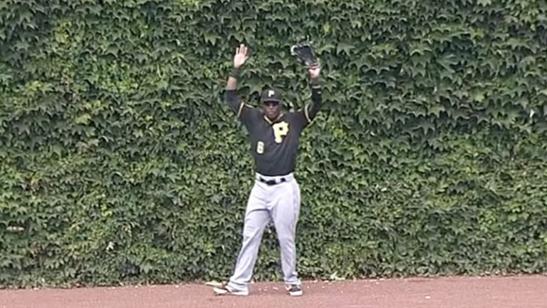 What Are Ground Rules in Baseball? - Metro League