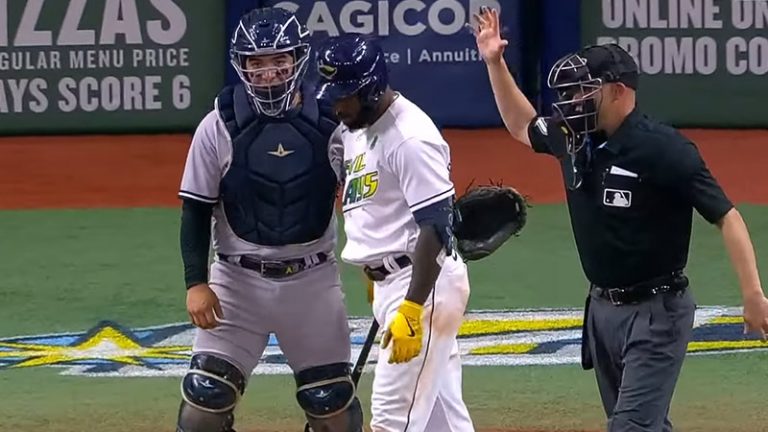 Baseball Ejection Rules - Metro League