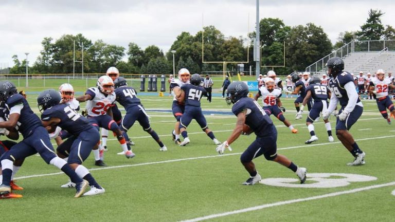 Demystifying the Gridiron: What is the Field of Play in American ...