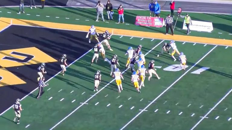 The Role of a Football Field Judge: Ensuring Fair Play and Game ...