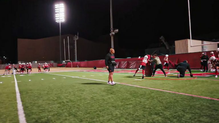 Understanding the Role of a Defensive Coordinator in American Football ...