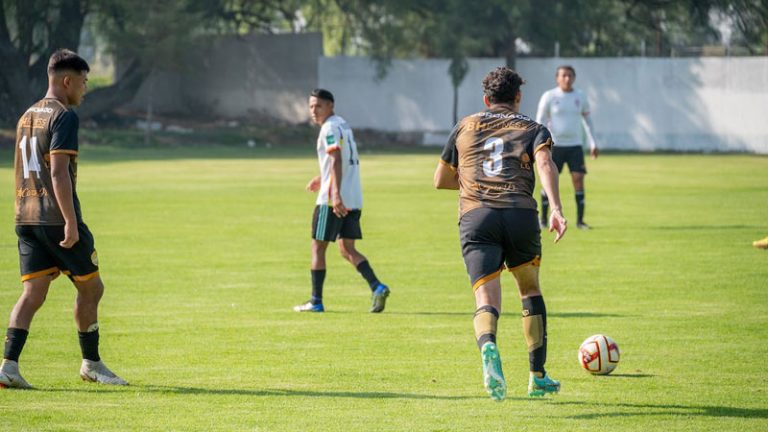 Basic Rules of Soccer: 101 Soccer Rules & Terminology Explained - Metro ...