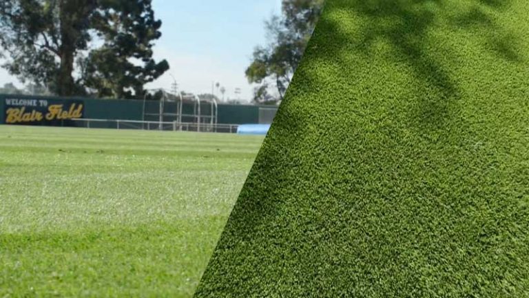 Making the Right Play: NFL Grass Vs Artificial Turf - Metro League