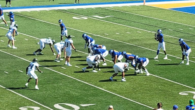 Demystifying the Punt: What Does Punt Mean In A Football Game? - Metro ...